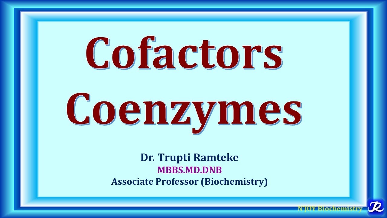 Understanding Coenzymes and Cofactors: Key Components of Enzyme ...