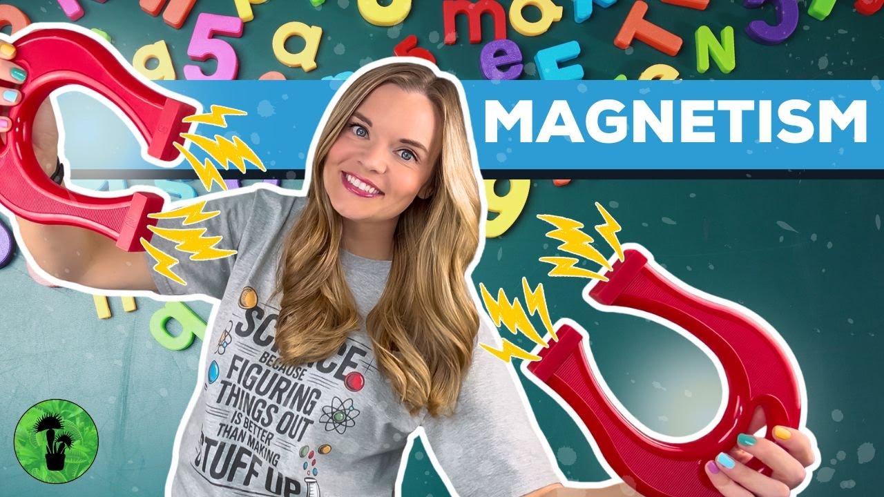 Magnetism & Magnetic Fields