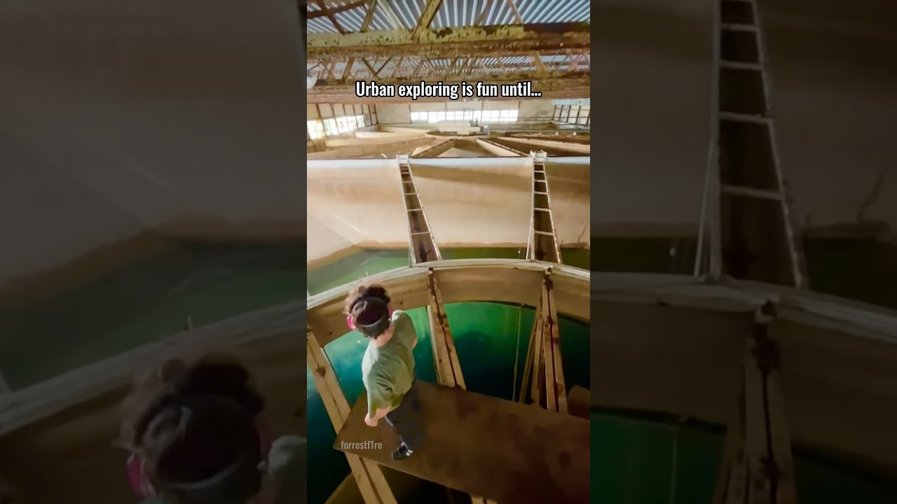 You think they’re friendly? (squatters encounter)