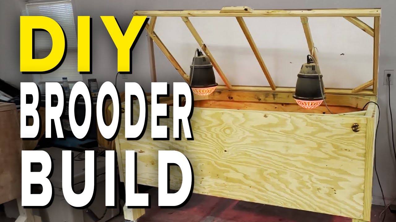 Building a HIGH QUALITY Chick Brooder (50 CHICKS!)