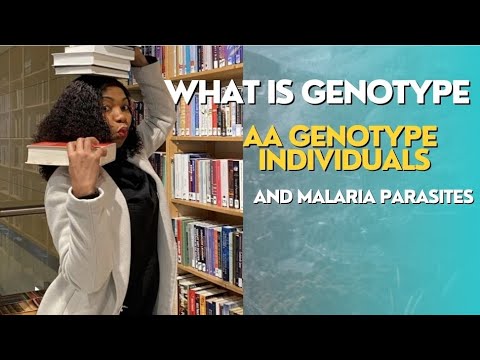 WHAT IS GENOTYPE? AA GENOTYPE INDIVIDUALS AND MALARIA PARASITES