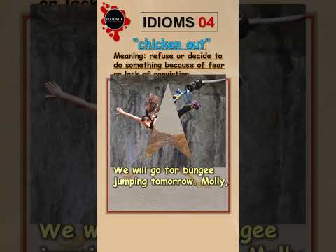IDIOMS AND PHRASES - 'chicken out' #shorts #education #ytshortsvideo #shortsyoutube
