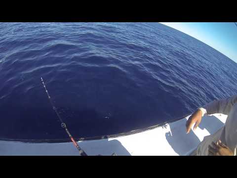 Action charters trip part 5