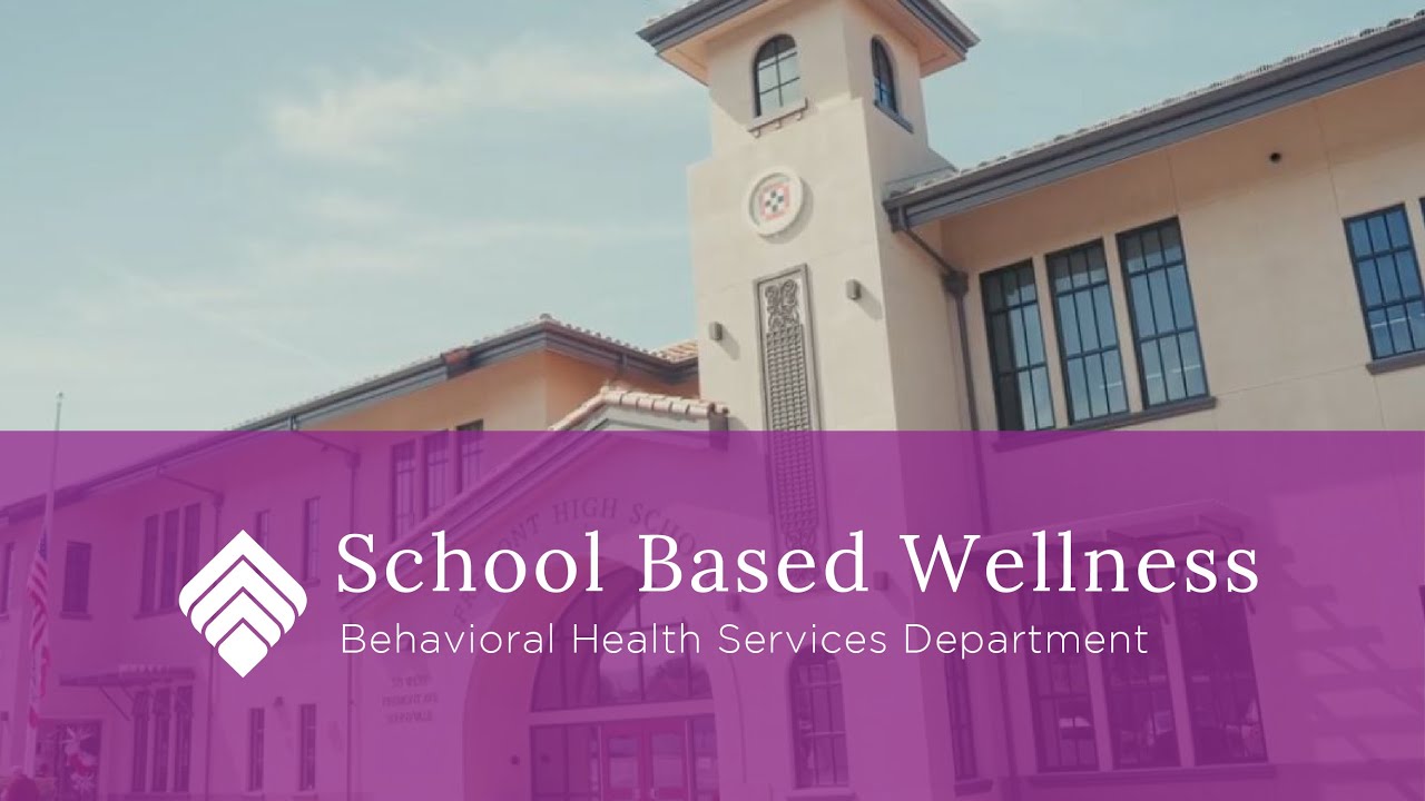 School Based Wellness Center Overview