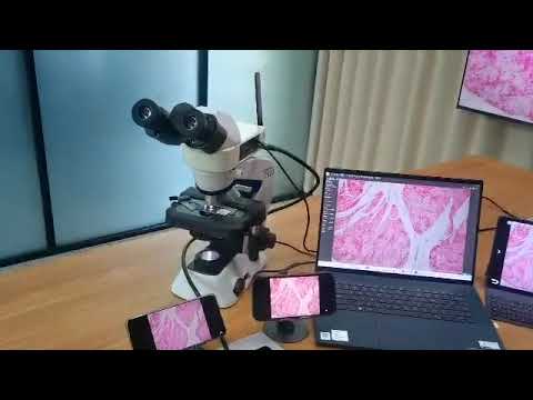 Embedded Camera with Olympus CX23 Binocular Microscope