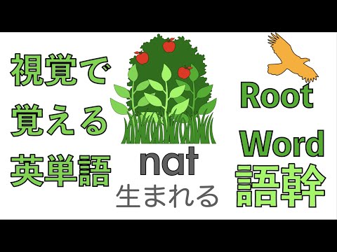 Root Word "NAT"/視覚で覚える英単語/語根(語幹)