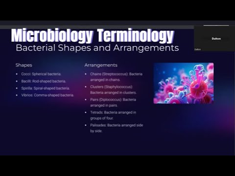 Microbiology Terminology AMT/ASCP Certification Exam