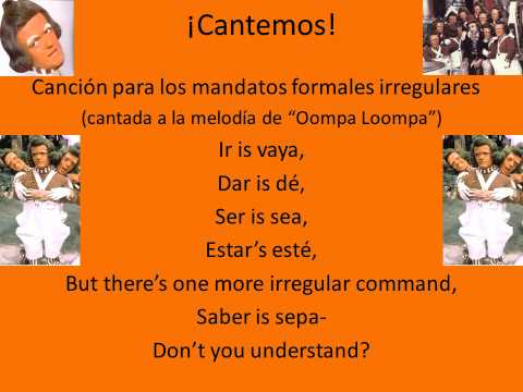 Video lesson usted and ustedes commands
