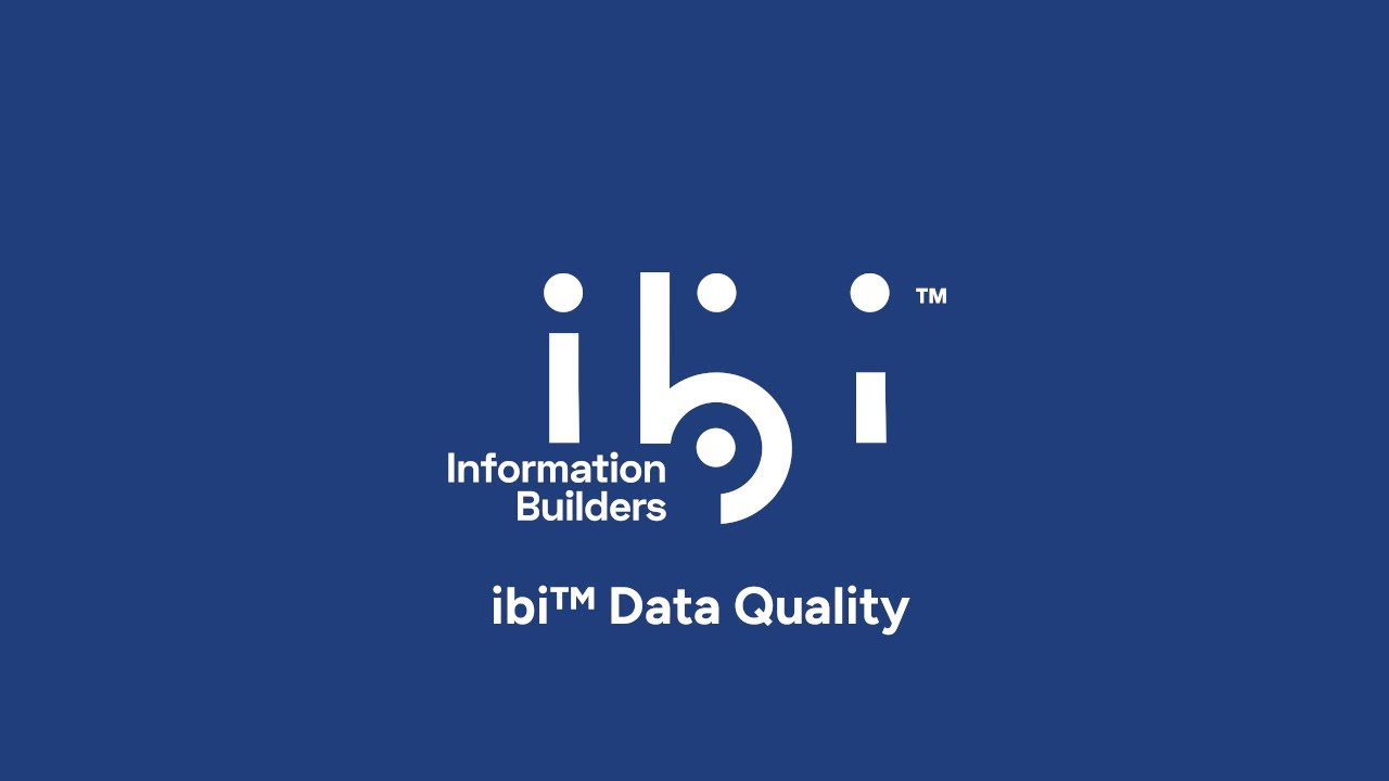 ibi Data Quality Explainer Video