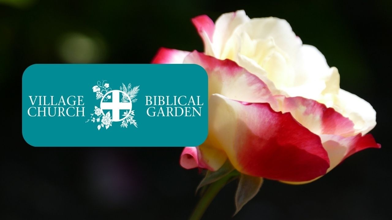 Scripture in Creation: Exploring The Village Church Biblical Garden
