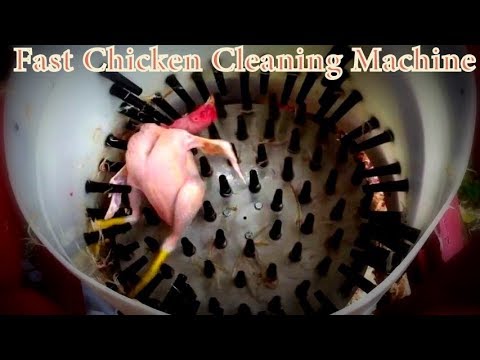 Chicken Feather Cleaning Machine - Chicken Dressing Machine Latest ...