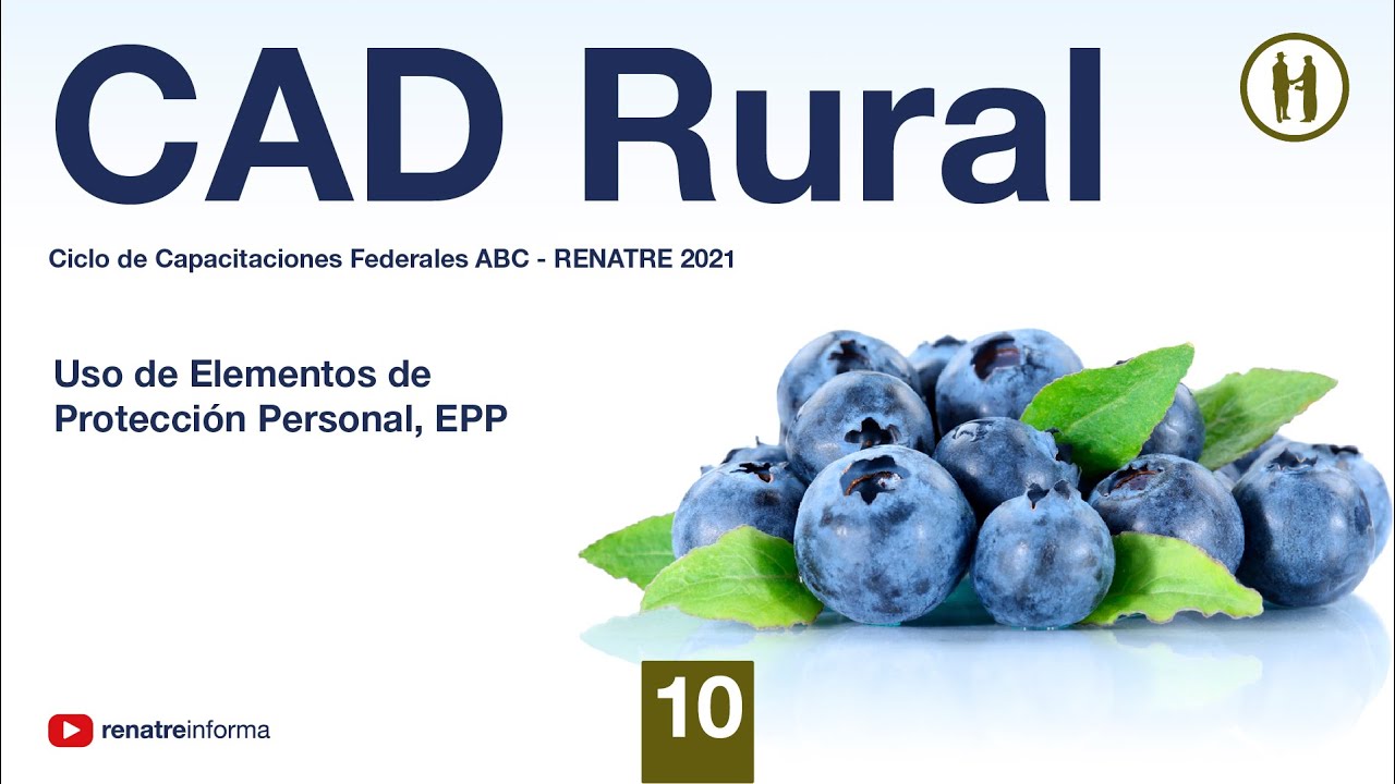 Uso de Elementos de Protección Personal EPP