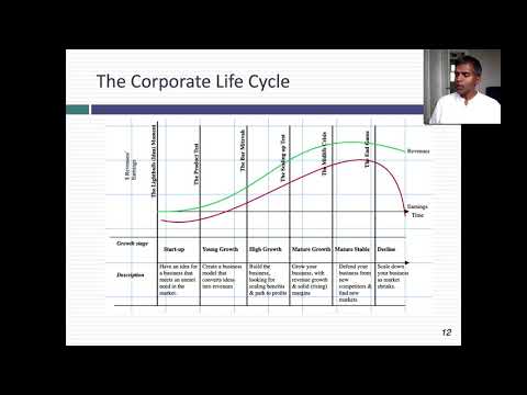 A Viral Market Update X: A Corporate Life Cycle Perspective