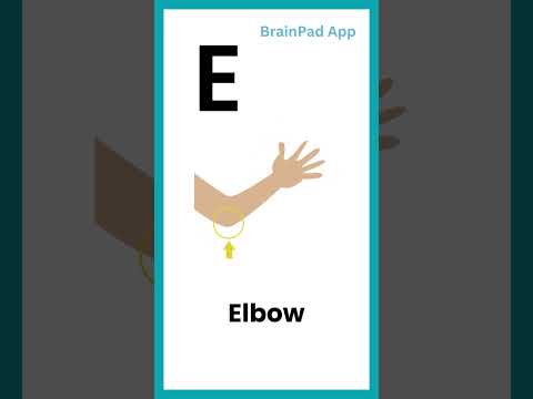 Words that start with letter E || E letter words