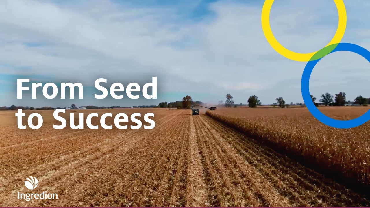 From Seed to Success: 50 Years of Partnership with Lamb Farms | Ingredion