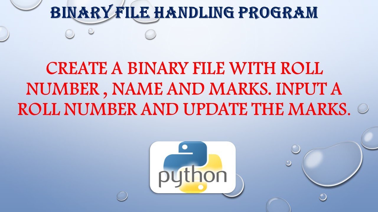 Python Binary File Program 2