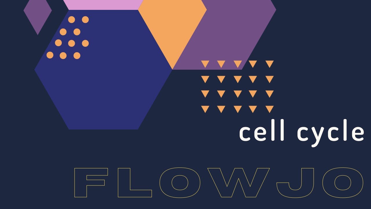 FlowJo [CELL CYCLE]