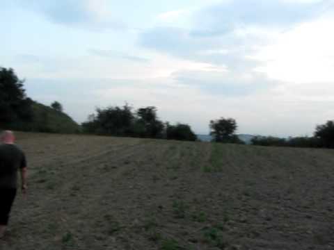 Grodzisko w Piekarach
