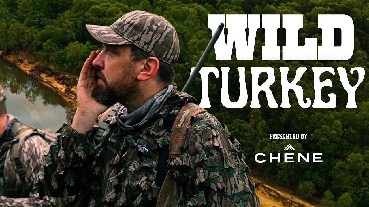 WILD TURKEY Deep In The Ozarks |  Buffalo River Backcountry Hunt