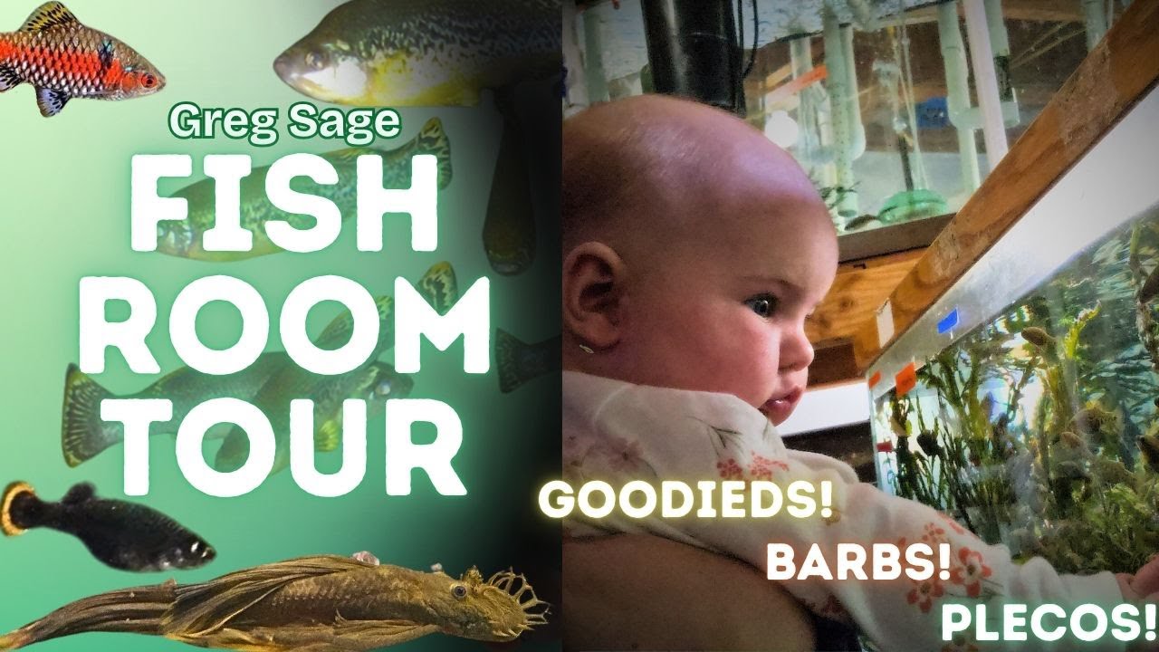 Greg Sage Fishroom Tour