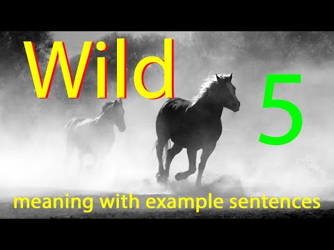 Wild meaning in Hindi | 5 meaning of wild as adjective and noun in Hindi Urdu with example sentences