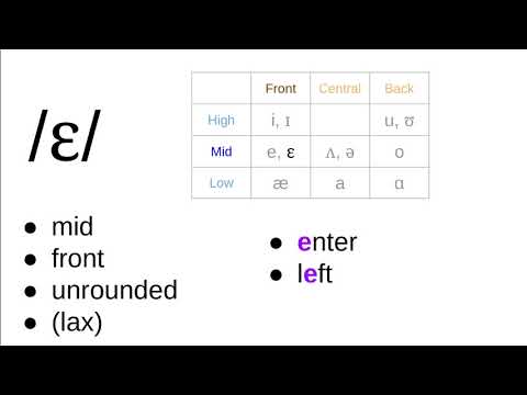 CILLDI LING 211: IPA Vowels "E"