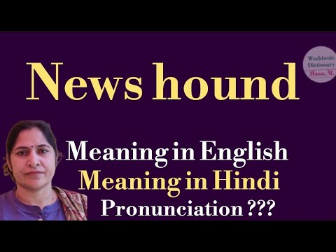 newshound meaning l meaning of newshound l newshound ka hindi mein kya matlab hota hai l vocabulary