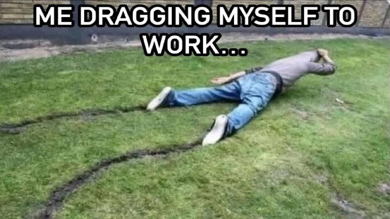 Funny Work Memes So Accurate You’ll Want to Retire Early 😂💼 | HahaHub