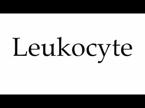 How to Pronounce Leukocyte