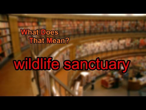 What does wildlife sanctuary mean?