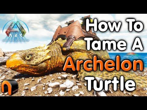 Steam Community :: Video :: Ark ARCHELON TAMING & Abilities!