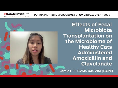 Effects of FMT on the Microbiome of Healthy Cats Administered Amoxicillin-Clavulanate