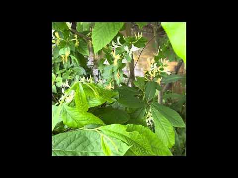 At it again – Poetry & More