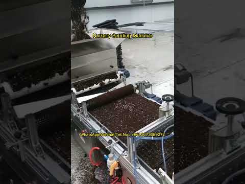 Fully Automatic Nursery Seeding Machine for Vegetable Seedlings Raising #nursery #seeding