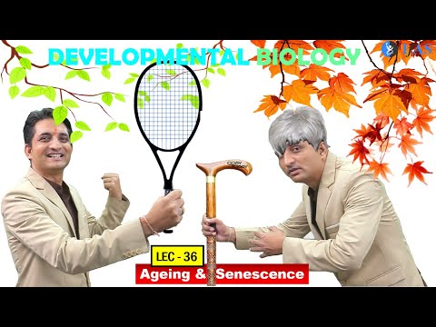 CSIR NET JUNE 2025 I Developmental Biology I Lecture 36 I Ageing & Senescence I IFAS