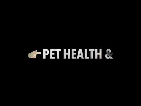 Mobile Dog Grooming