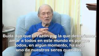 Videos - Ananda Leon