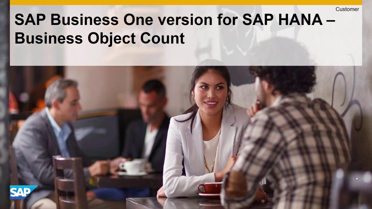 SAP Business One - Business Object Count Demo