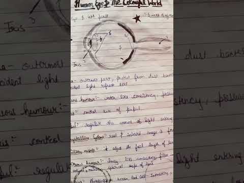 Human eye diagram class 10 #music human eye and the colourful world