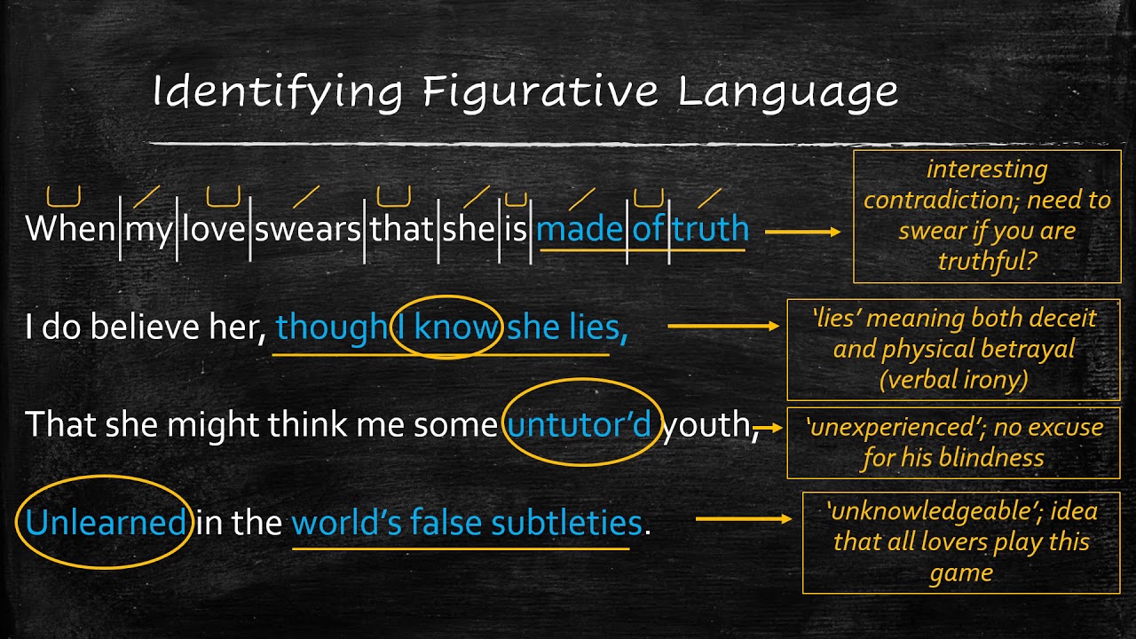 Video #4: Shakespearean Sonnets (Solution to Sonnet 138)