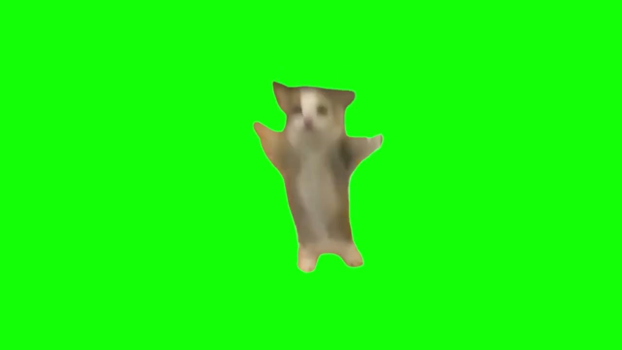 Green Screen Happy Happy Happy Cat Meme