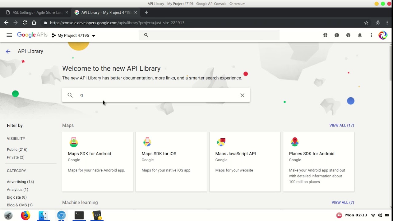 How to Add Google Maps API Key for Store Locator WordPress