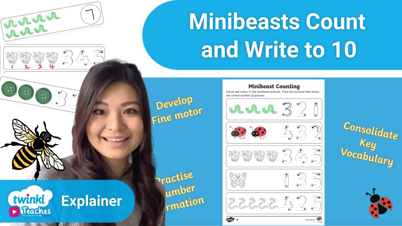 Minibeasts Count and Write Activity