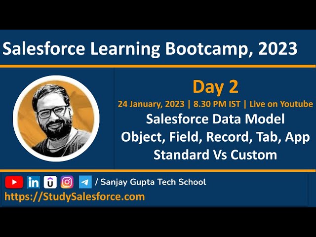Understanding Salesforce Data Model Objects Fields Records Tabs 9523
