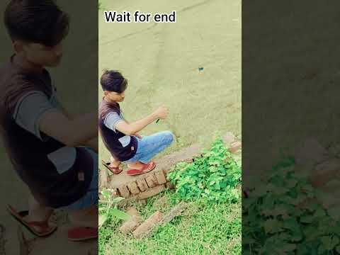 ππ₯°πͺ»π₯°π―βwhat fore end π₯°πͺ# farming #villagelive#shorts # trending rail