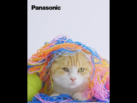 Tangle-free Power Nozzle - Yarn | Cordless Stick Vacuum Cleaner MC-SB53K (Global) [Panasonic]