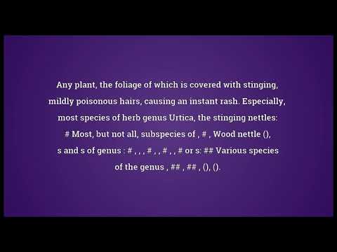 nettle meaning in English