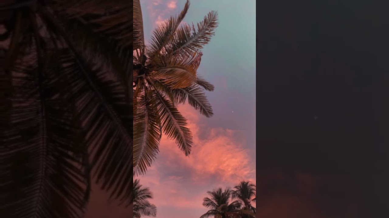 Sunset wallpaper ideas and pics 🧡💛❤️