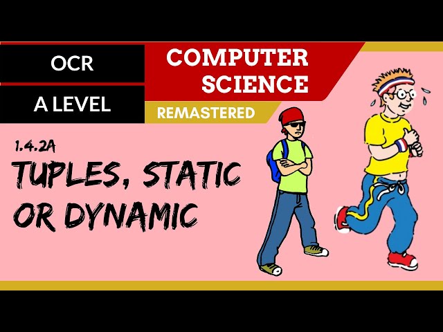 Understanding Tuples Static Or Dynamic Data Structures Galaxyai