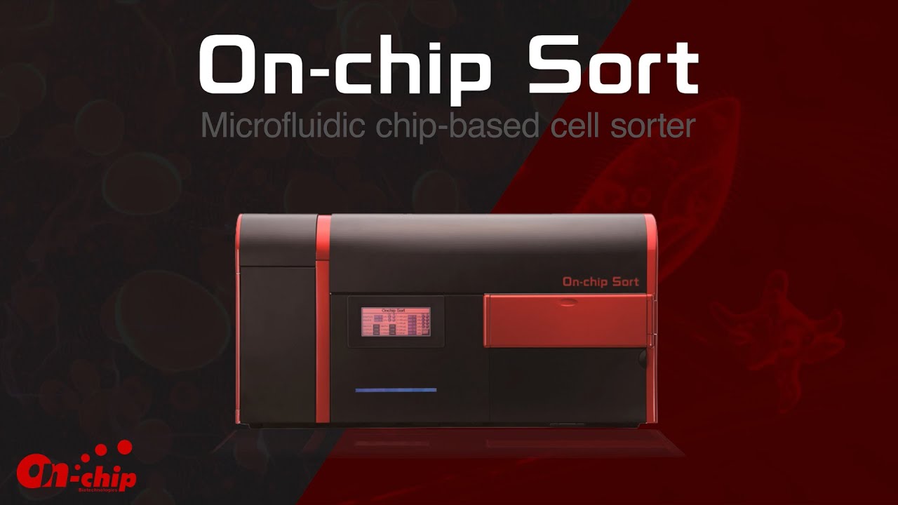 On-Chip Sort: Exploring the new avenue of sorting